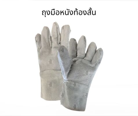 ถุงมือหนังท้องสั้น รุ่น CB1001 ยาว 10 นิ้ว (บรรจุ 1 คู่ ) – MMS